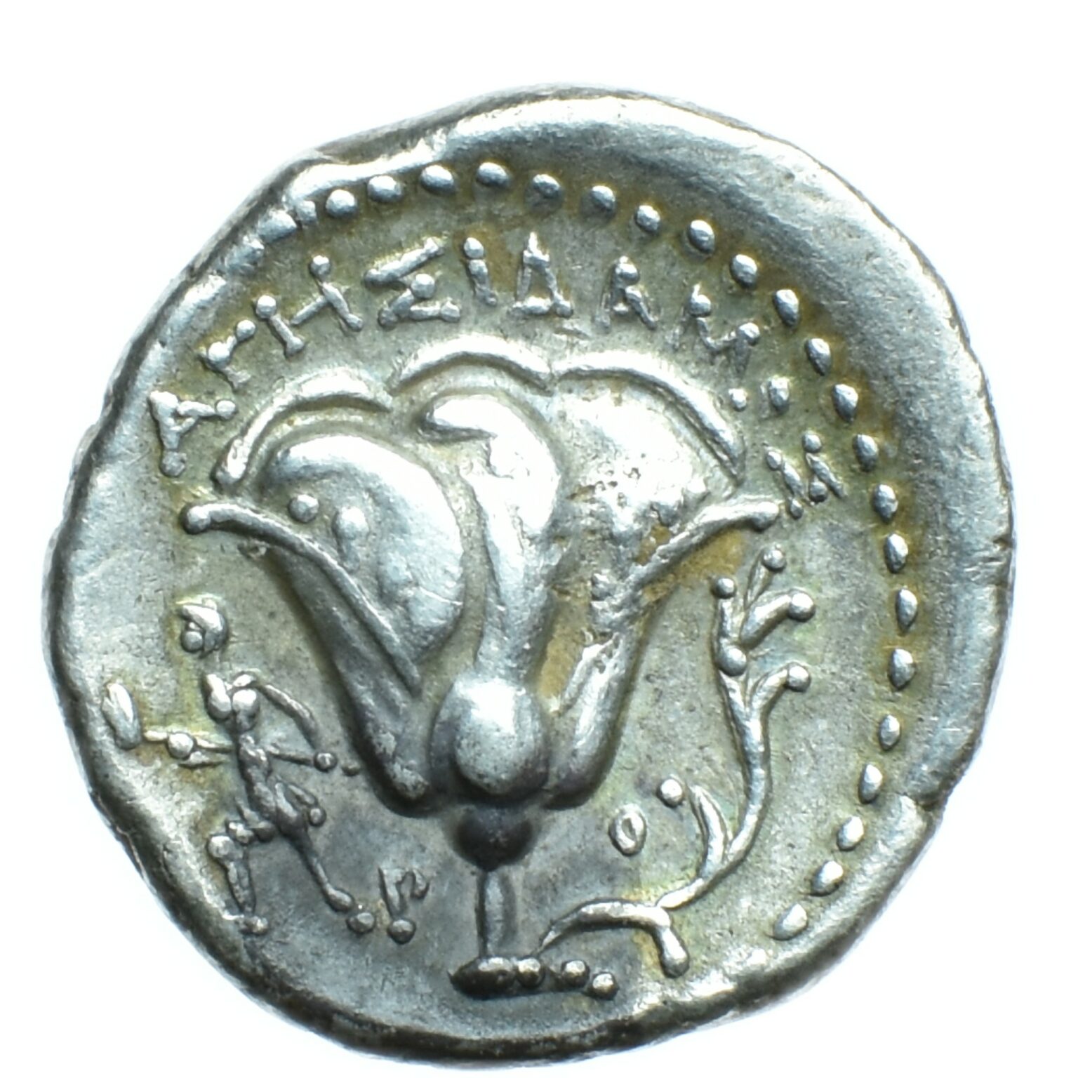 Grèce Antique - Carie - Rhodes - Didrachme - NumisAvenue - Monnaies ...